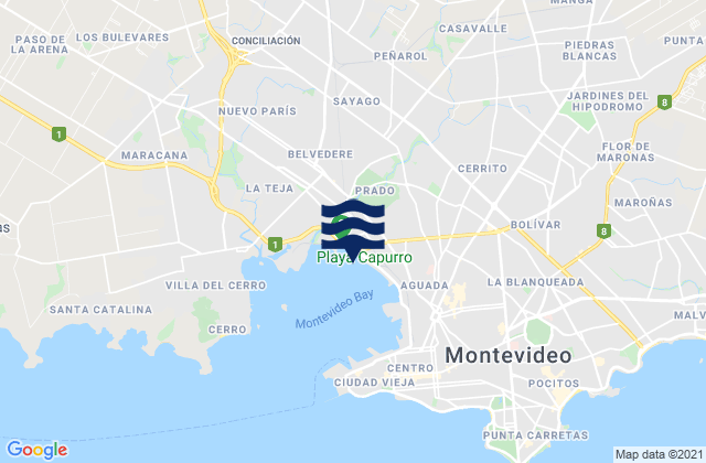 Tabla de Mareas de Departamento de Montevideo Hoy | Pleamar y Bajamar | UY
